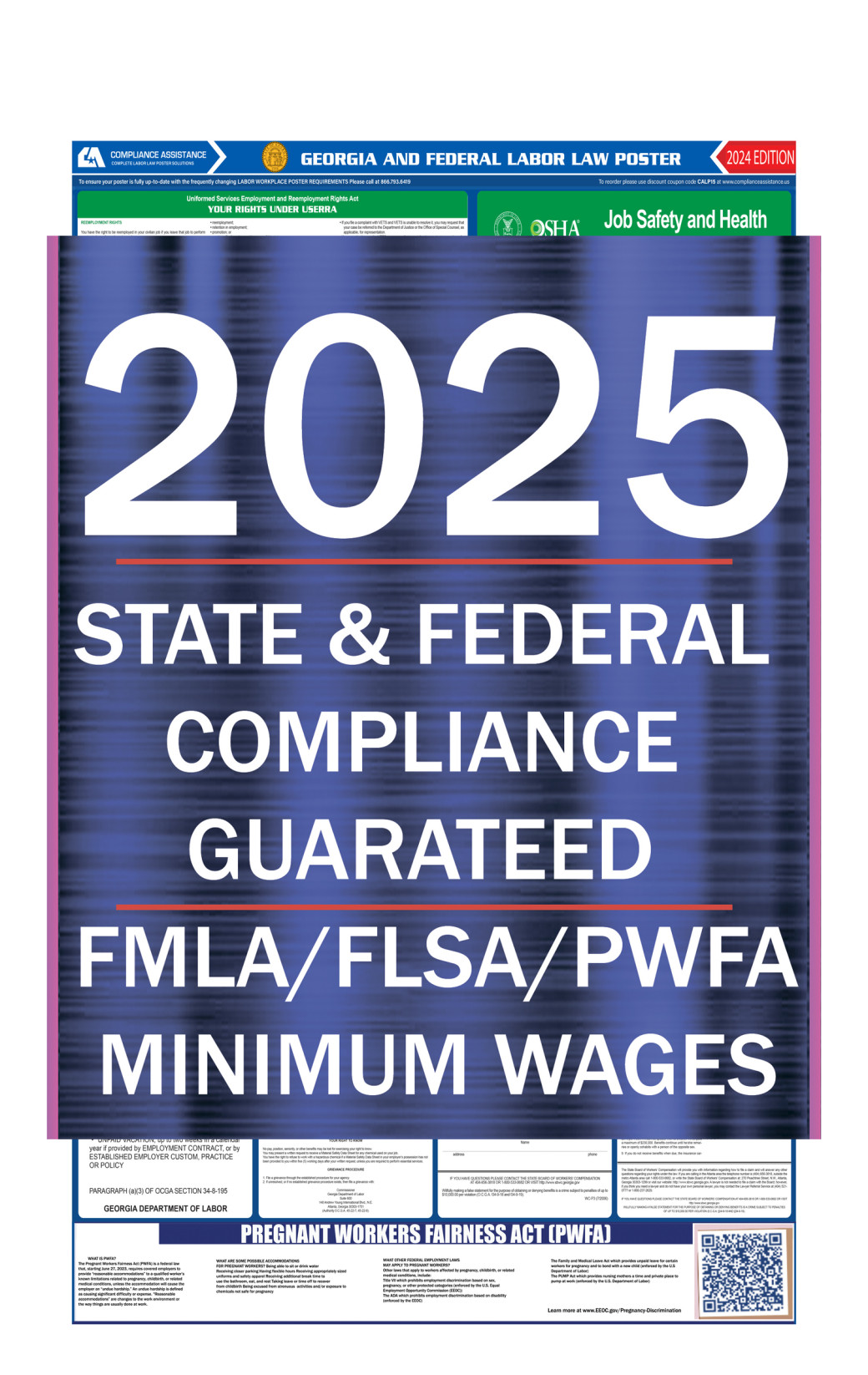 2025 Georgia Labor Law Poster - All-In-One State & Federal - Fast Shipping